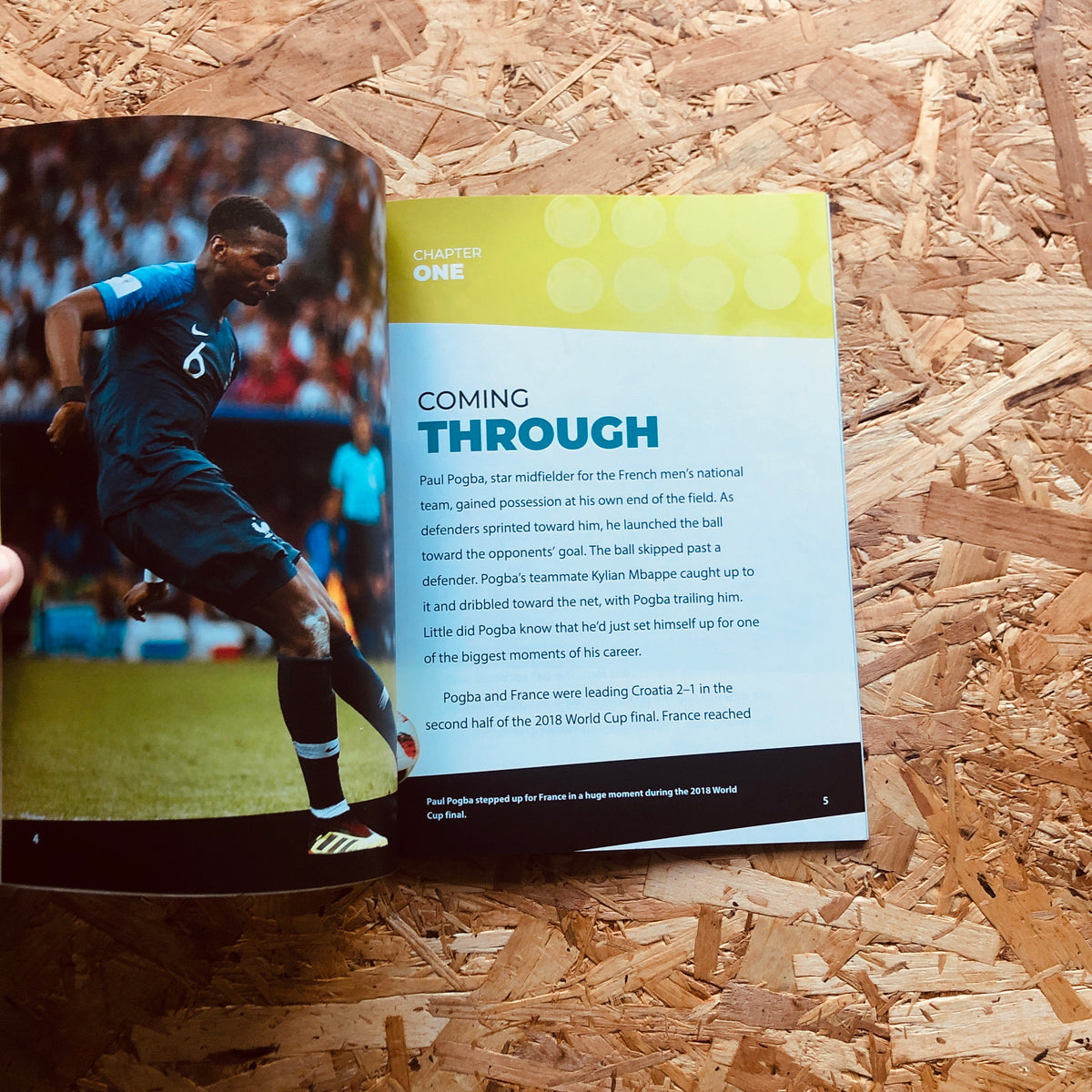 Paul Pogba – Stanchion