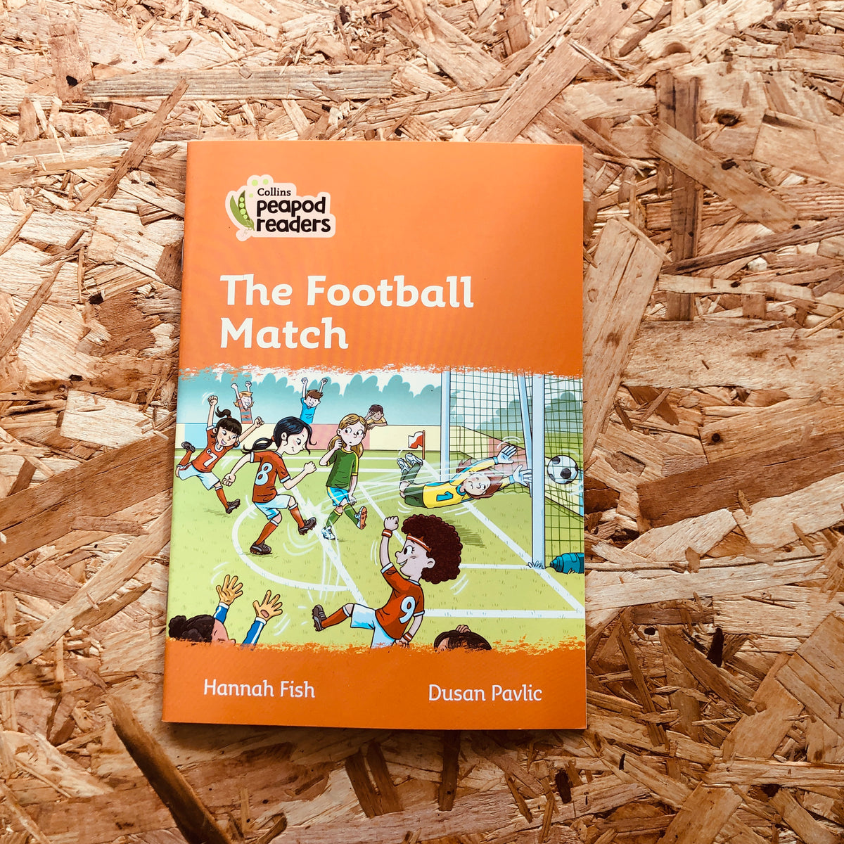 The Football Match – Stanchion
