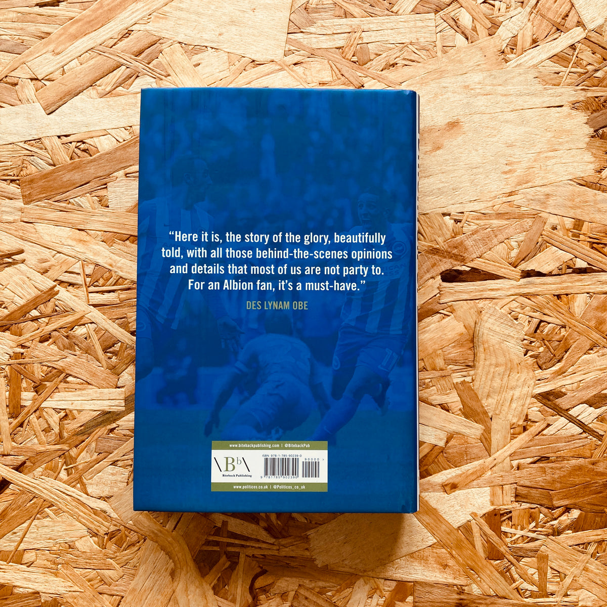 Brighton Up: The Inside Story of Brighton & Hove Albion's Journey From ...