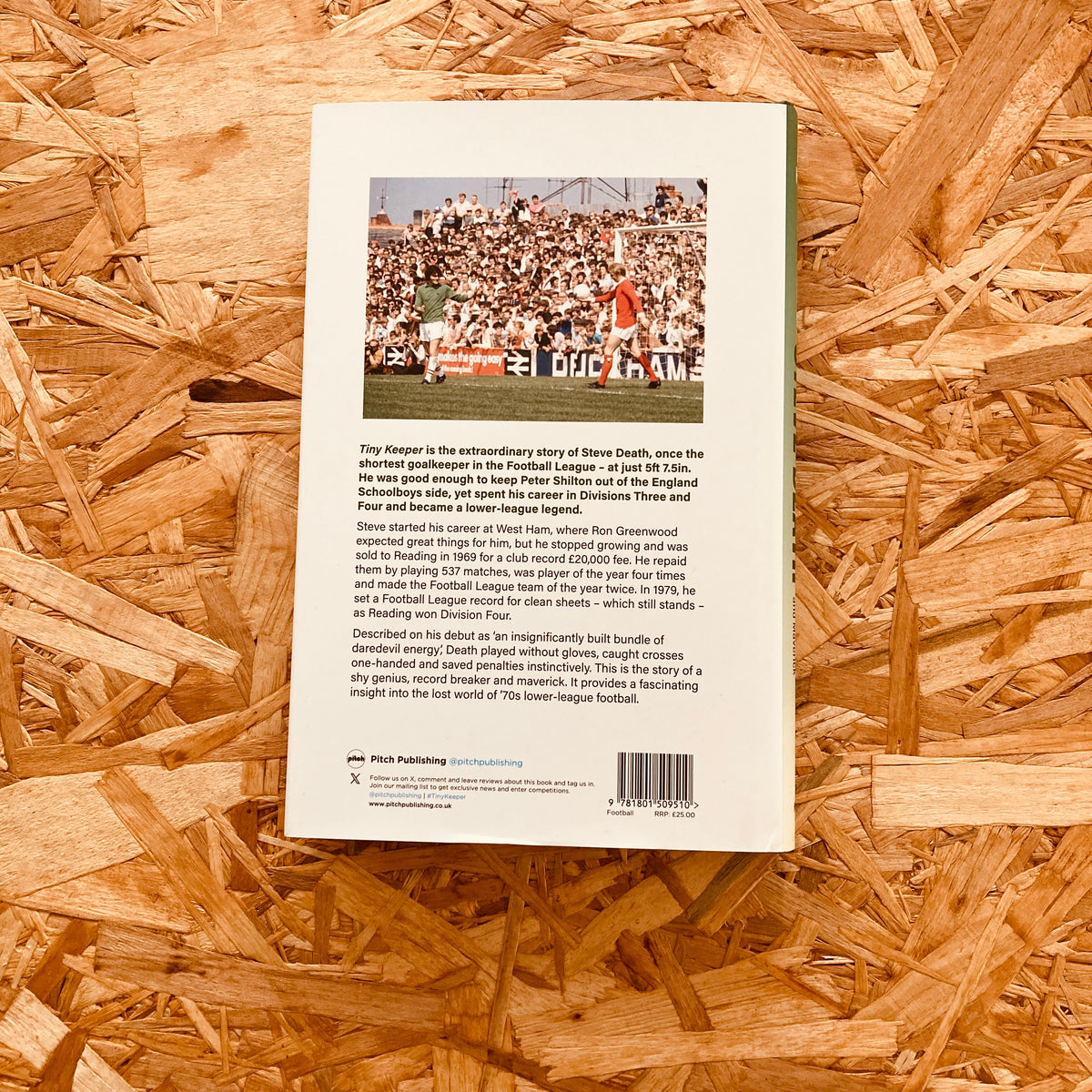 Tiny Keeper: Steve Death, Record Breaker, Shy Genius and Maverick ...