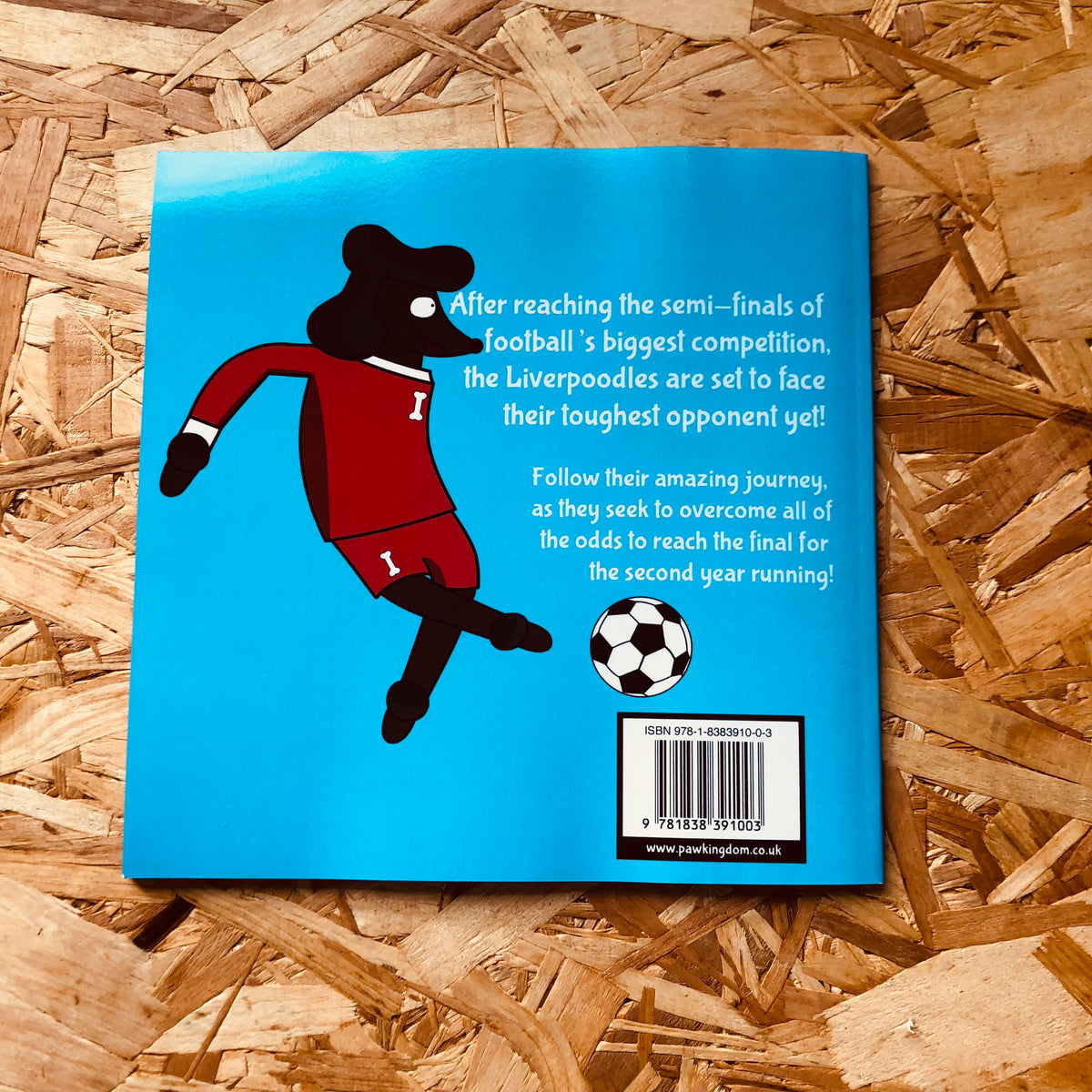 The Liverpoodles and the Corner Taken Quickly – Stanchion